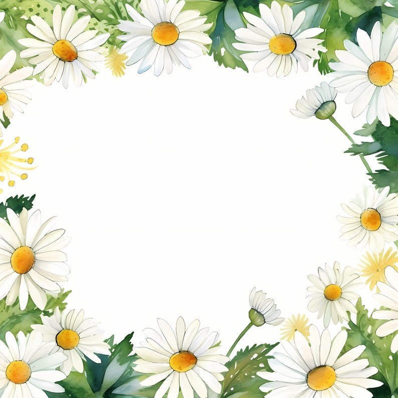Daisy Flowers Frame, Daisy Flower Border Watercolor Clipart Set With 10 ...