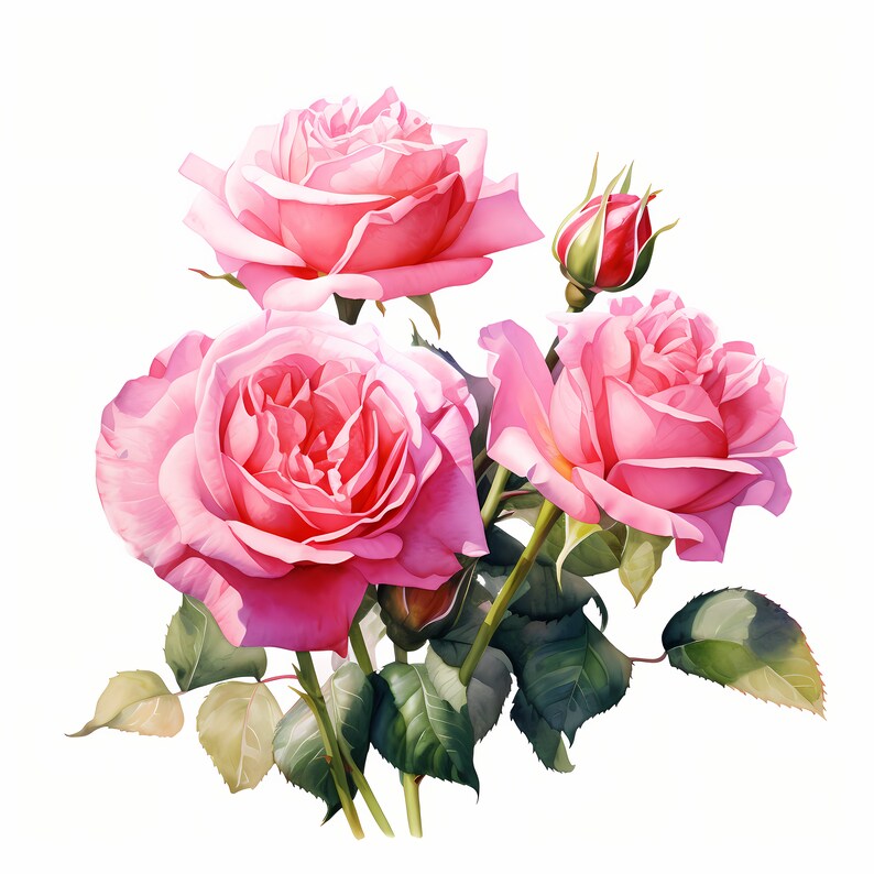 Pink Roses Clipart, Roses Bouquet Images, 10 Watercolor Clip Art ...