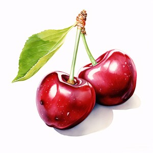Watercolor Cherry Clipart: Red Fruit Illustrations (JPG Download ...