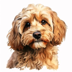 Cockapoo Clipart, Cockerpoo Images, 10 Watercolor Clip Art, Printable ...