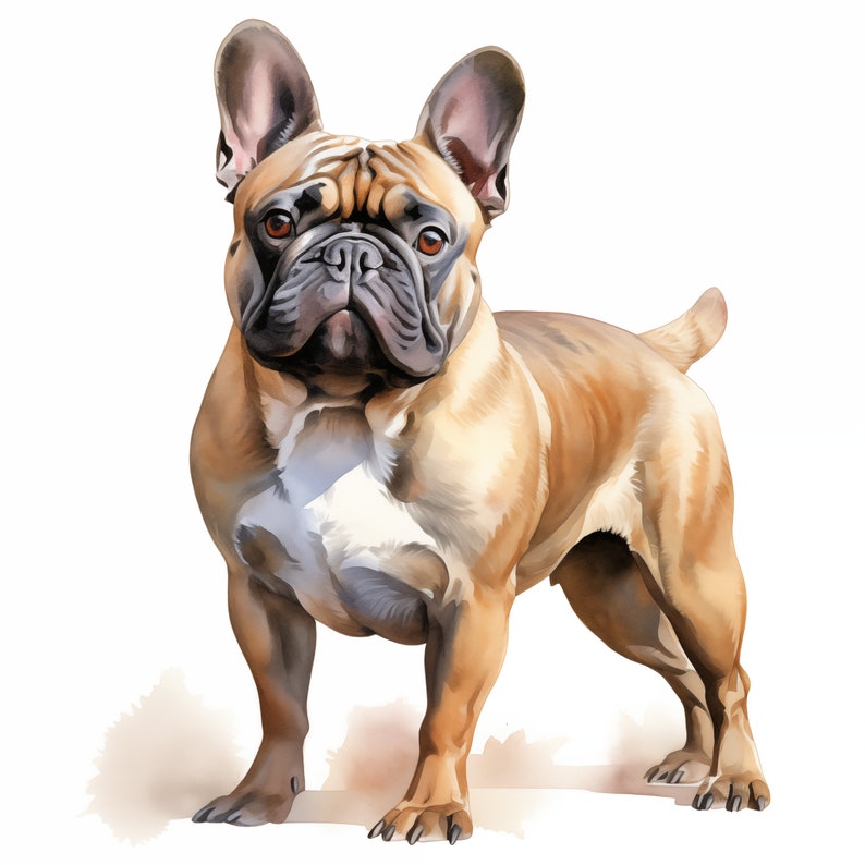 French Bulldog Clipart, Bulldog Dog Images, 10 Watercolor Clip Art ...