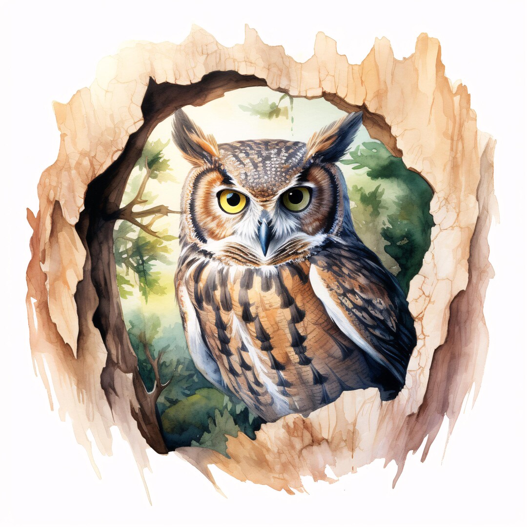 Owl in Tree Clipart, Woodland Bird Images, 10 Watercolor Clip Art ...