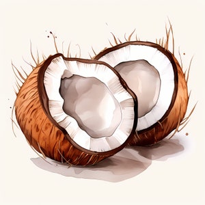 Watercolor Coconut Clipart: Tropical Fruit JPG Images (digital Download ...