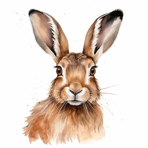 Hare Clipart, Rabbit Images, 12 Watercolor Clip Art, Printable Jpgs ...