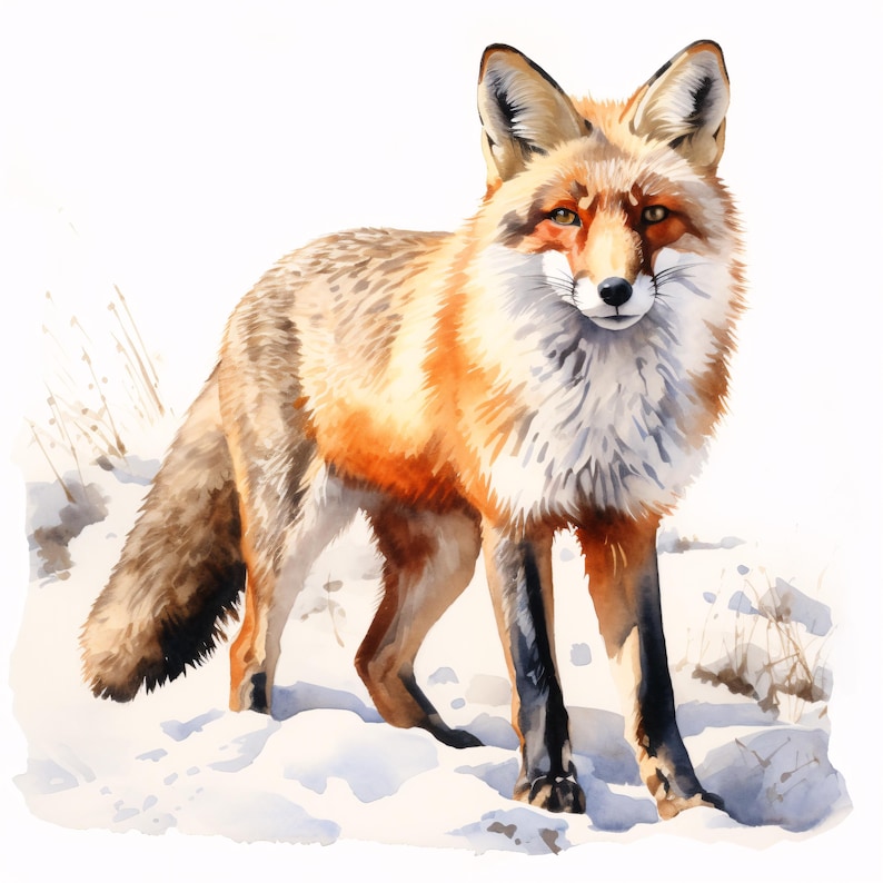 Winter Fox Clipart, Snow Forest Animal Images, 10 Watercolor Clip Art ...