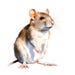 Cute Rat Clipart, Funny Rat Images, 10 Watercolor Clip Art, Printable ...