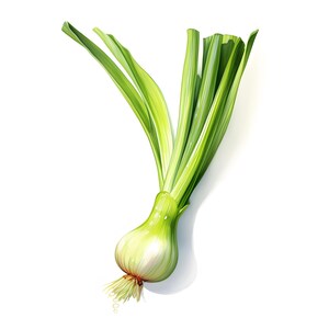 Leek Clipart, Garden Leek Images, 10 Watercolor Clip Art, Printable ...