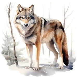 Winter Wolf Clipart, Wolves in Winter Images, 10 Watercolor Clip Art ...