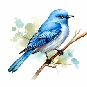Blue Bird Clipart, Adorable Bird, Bluebird Images, 10 Watercolor Clip ...