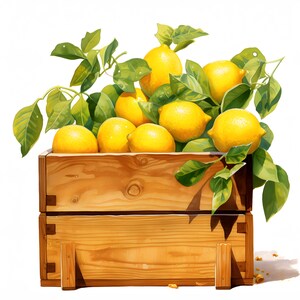 Lemons Box Clipart, Lemons in Wooden Box Images, 10 Watercolor Clip Art ...
