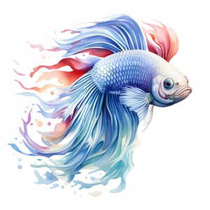 Betta Fish Clipart, Aquarium Fishes Images, 10 Watercolor Clip Art ...