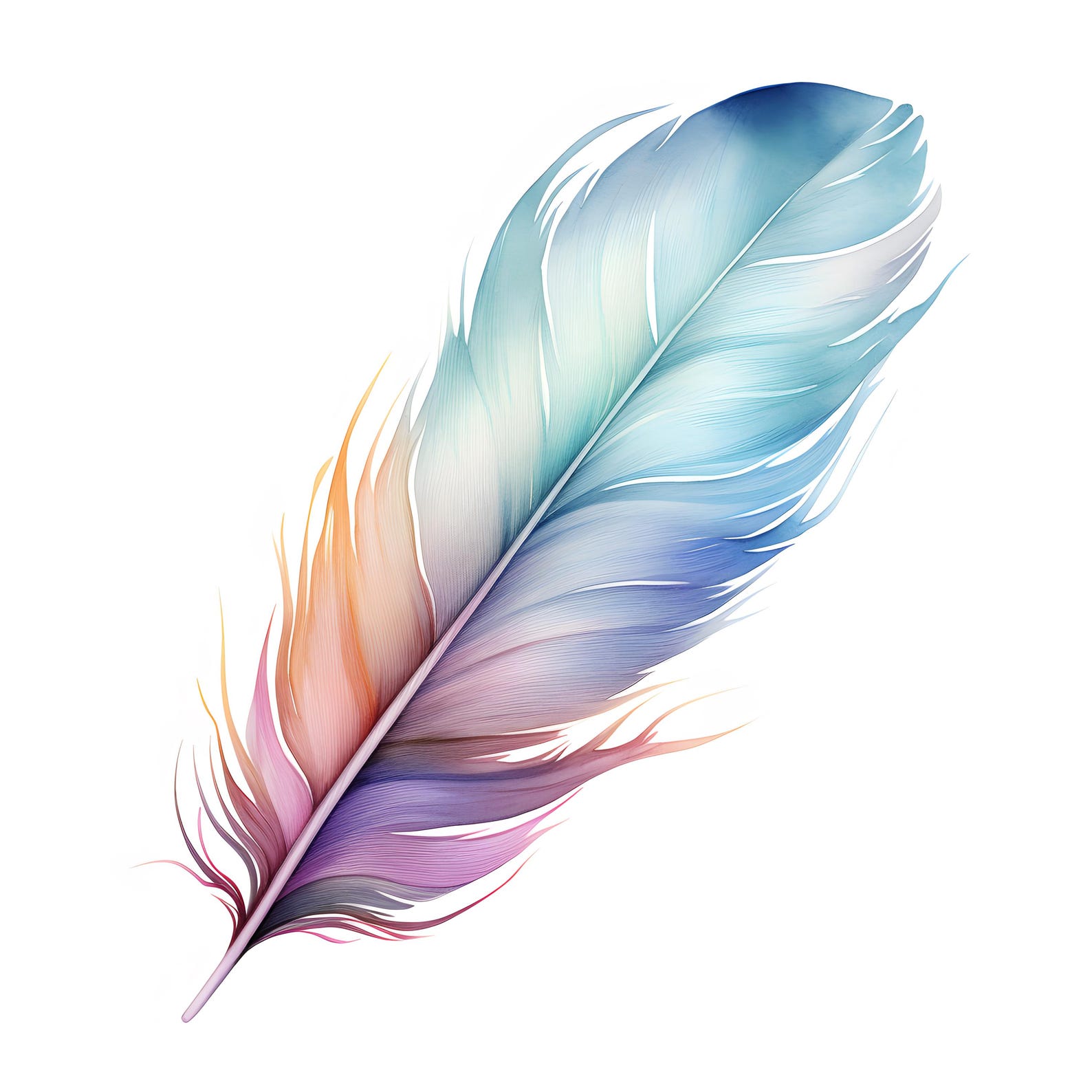 Watercolor Rainbow Feather Clipart: Bird Feather Images (jpgs) - Etsy