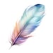 Watercolor Rainbow Feather Clipart: Bird Feather Images (jpgs) - Etsy