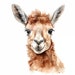 Watercolor Llama Clipart: Printable JPG Images, Commercial Use (digital ...