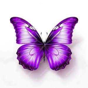 Purple Butterfly Watercolor Clipart: Magical JPG Images (digital ...