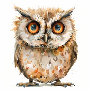 Quirky Owl Clipart, Whimsical Owls Images, 10 Watercolor Clip Art ...