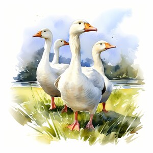Goose Clipart, Farm Geese Images, 10 Watercolor Clip Art, Printable ...