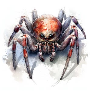 Spider Clipart, Poisonous Spider Images, 10 Watercolor Clip Art ...