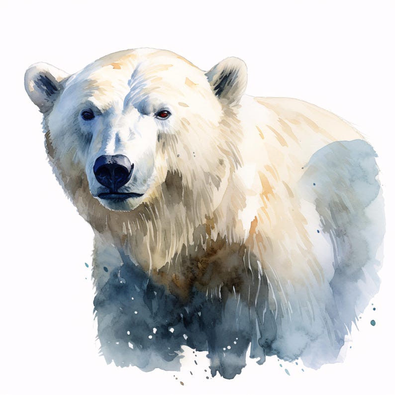 Polar Bear Clipart, Arctic Animal Images, 10 Watercolor Clip Art ...