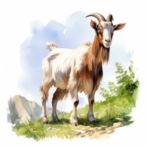 Farm Goat Clipart, Farmyard Goat Images, 10 Watercolor Clip Art ...
