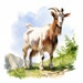 Farm Goat Clipart, Farmyard Goat Images, 10 Watercolor Clip Art ...