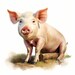Farmyard Pig Clipart, Farm Pig Images, 10 Watercolor Clip Art ...