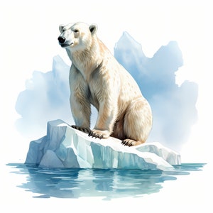 Watercolor Polar Bear Clipart: Arctic Animal Jpgs (commercial Use) - Etsy