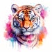 Cute Tiger Clipart, Tiger Cub, Big Wild Cat Images, 10 Watercolor Clip ...