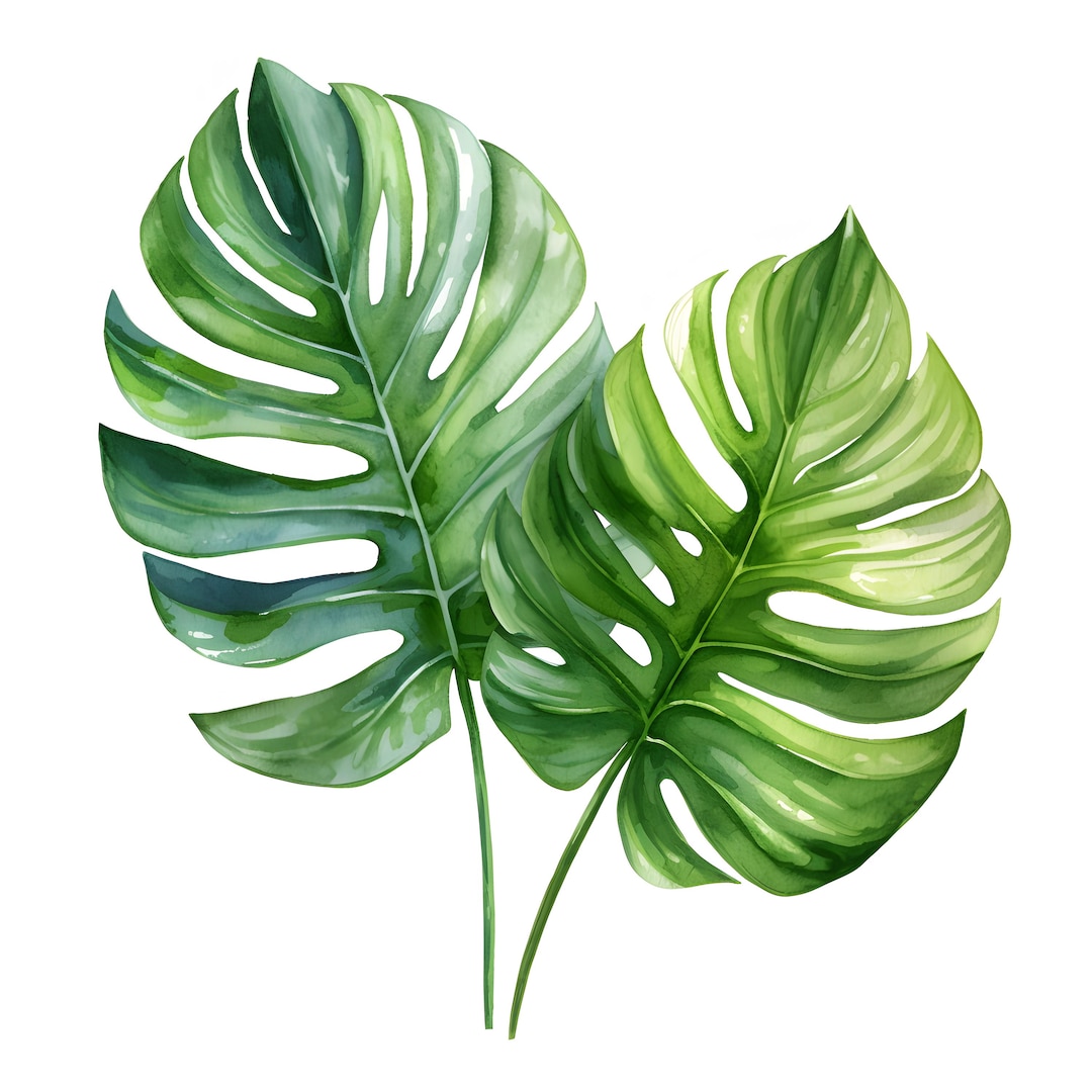 Tropical Leaves Clipart, Green Leaves Images, 10 Watercolor Clip Art ...