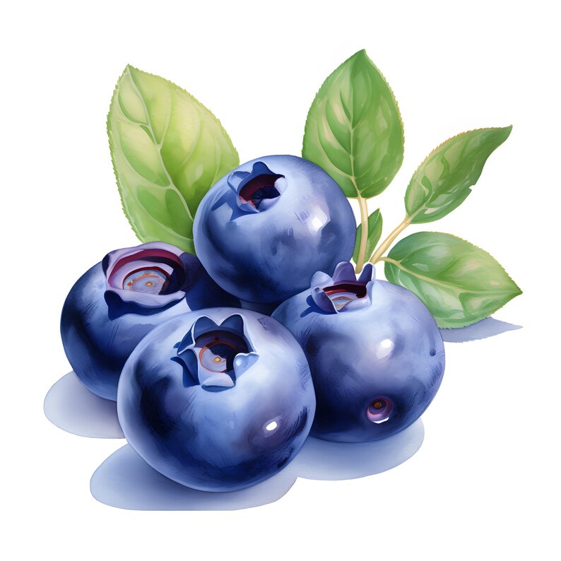 Watercolor Blueberries Clipart: 10 Berry Images (jpgs, Commercial Use ...