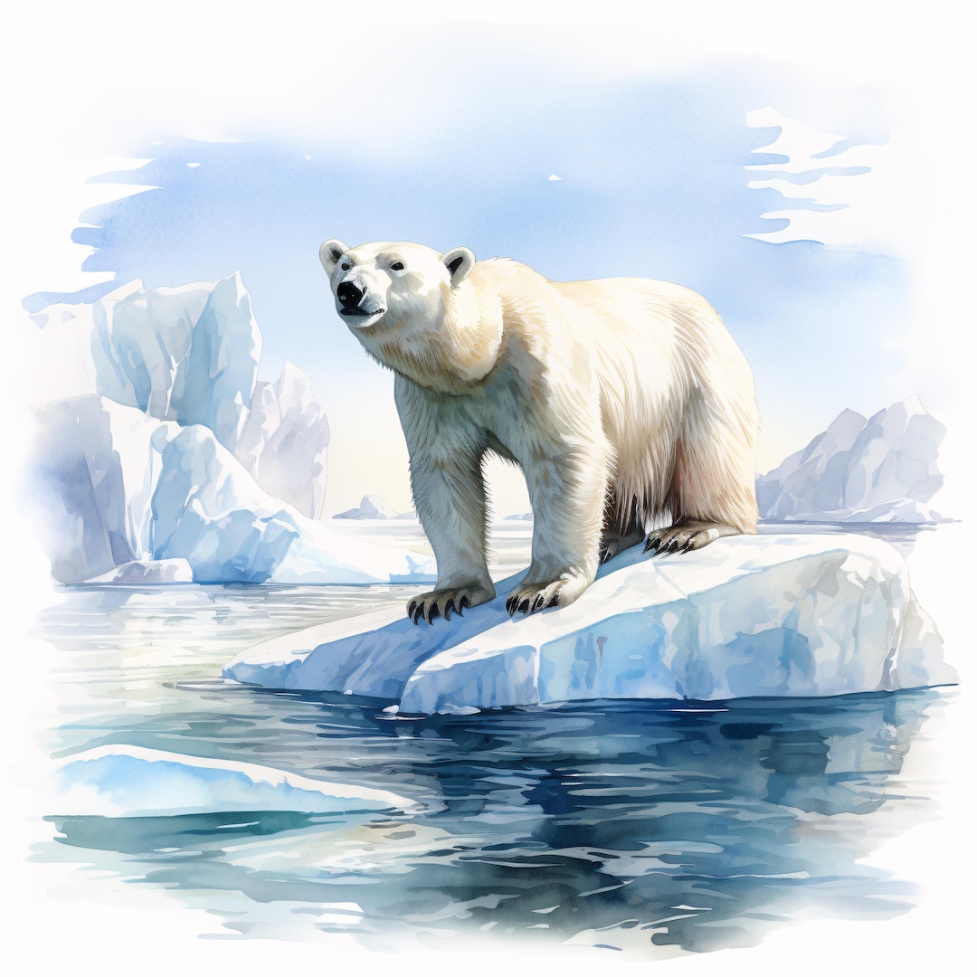 Polar Bear Clipart, Arctic Wildlife Images, 10 Watercolor Clip Art ...