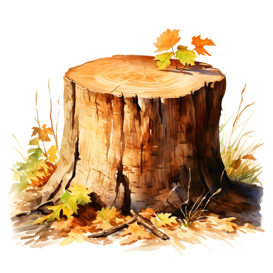 Autumn Stump Clipart, Autumn Wood Stump Images, 10 Watercolor Clip Art ...