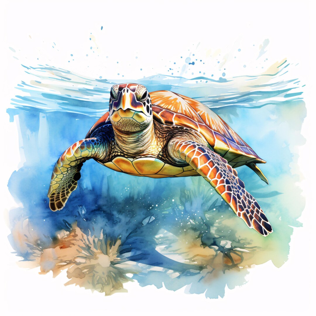 Sea Turtle Clipart, Ocean Animal Images, 10 Watercolor Clip Art ...