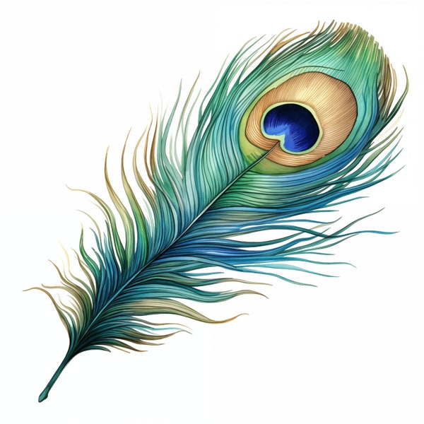 Feather Clipart - Etsy