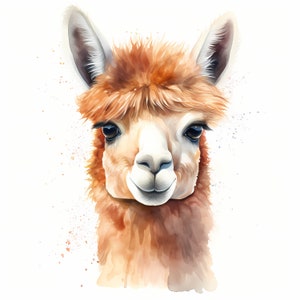 Alpaca Clipart, Lovely Alpaca Images, 10 Watercolor Clip Art, Printable ...