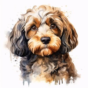 Cockapoo Clipart, Cockerpoo Images, 10 Watercolor Clip Art, Printable ...
