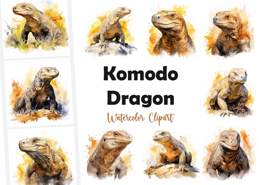 Komodo Dragon Clipart, Komodo Dragon Images, 10 Watercolor Clip Art ...