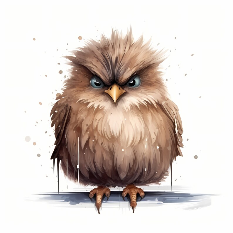 Grumpy Bird Clipart, Fluffy Birds Images, 10 Watercolor Clip Art ...