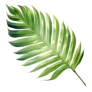 Palm Beach Leaf Clipart, Tropical Leaf Images, 10 Watercolor Clip Art ...