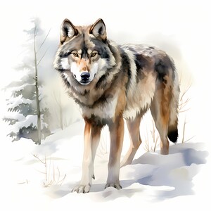 Winter Wolf Clipart, Wolves in Winter Images, 10 Watercolor Clip Art ...
