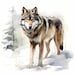 Winter Wolf Clipart, Wolves in Winter Images, 10 Watercolor Clip Art ...