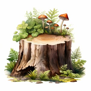 Tree Stump Clipart, Forest Stumps Images, 10 Watercolor Clip Art ...