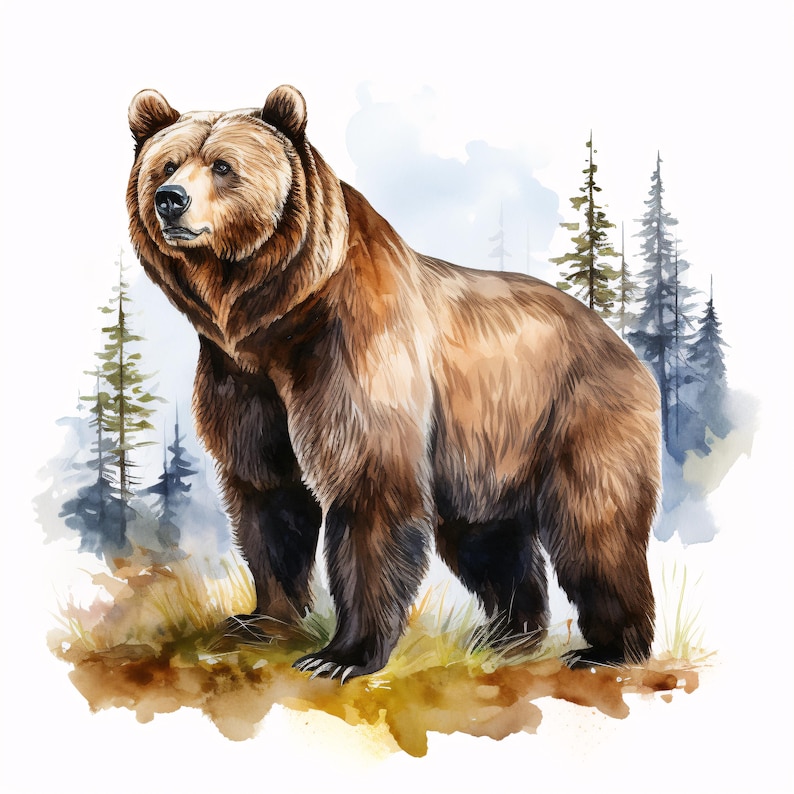 Watercolor Brown Bear Clipart: Forest Animal Art, Commercial Use (jpgs ...