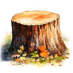Autumn Stump Clipart, Autumn Wood Stump Images, 10 Watercolor Clip Art ...