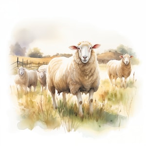Sheep Clipart, Sheep on Farm Images, 10 Watercolor Clip Art, Printable ...