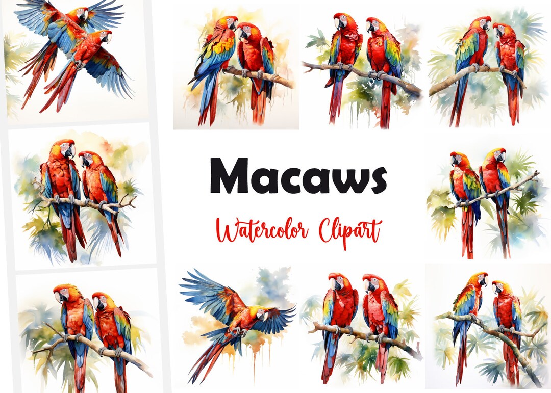 Macaws Clipart, Parrots Images, 10 Watercolor Clip Art, Printable Jpgs ...