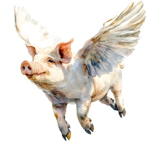 Watercolor Flying Pig Clipart: Angel Pig Images (jpgs, Commercial Use ...