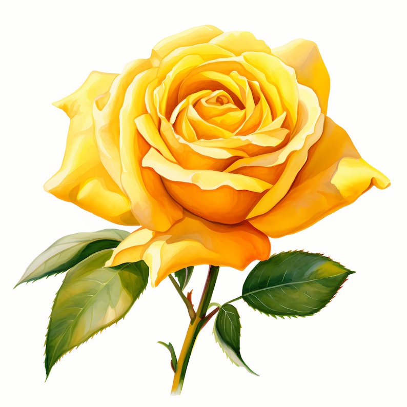 Watercolor Yellow Rose Clipart: Printable Floral Images (JPG ...