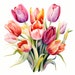 Tulips, Bouquet of Tulips, Spring Flowers Watercolor Clipart Set With ...