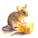 10 Mouse With Cheese, Mouse Eating Cheese JPG, Watercolor Clipart ...